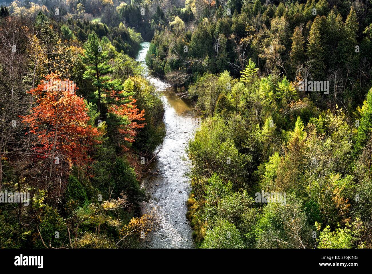 Aerial view of the river valley of the National Park in autumn Stock ...