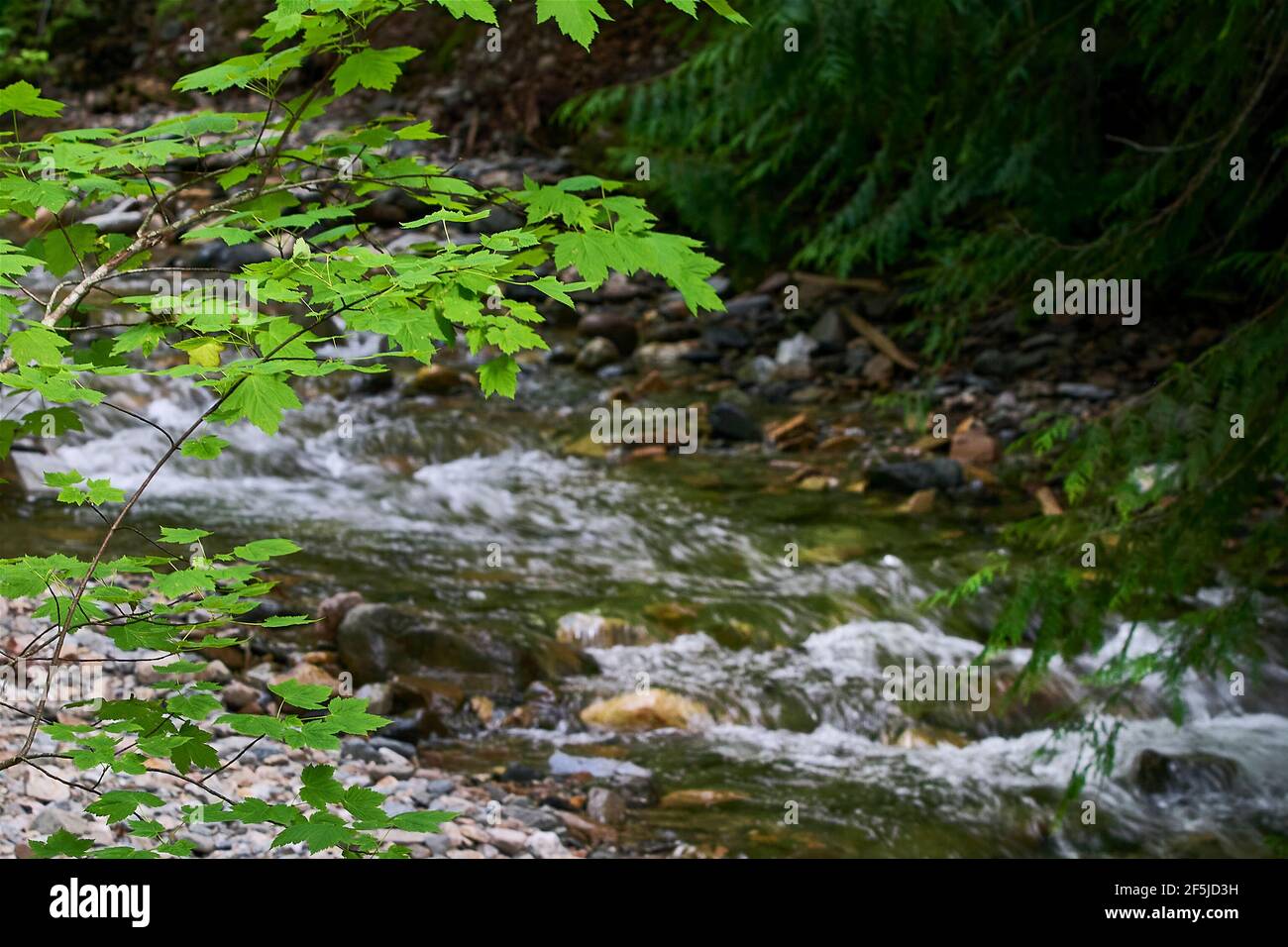 Water cascading flowing running over rocks hi-res stock photography and ...