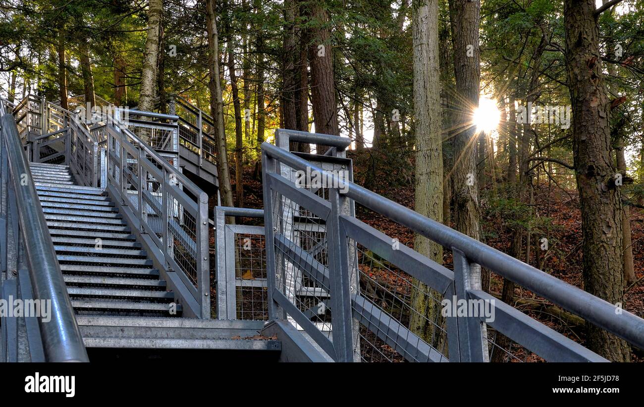 Staircase in the forest of the National Park with a lens flare Stock ...