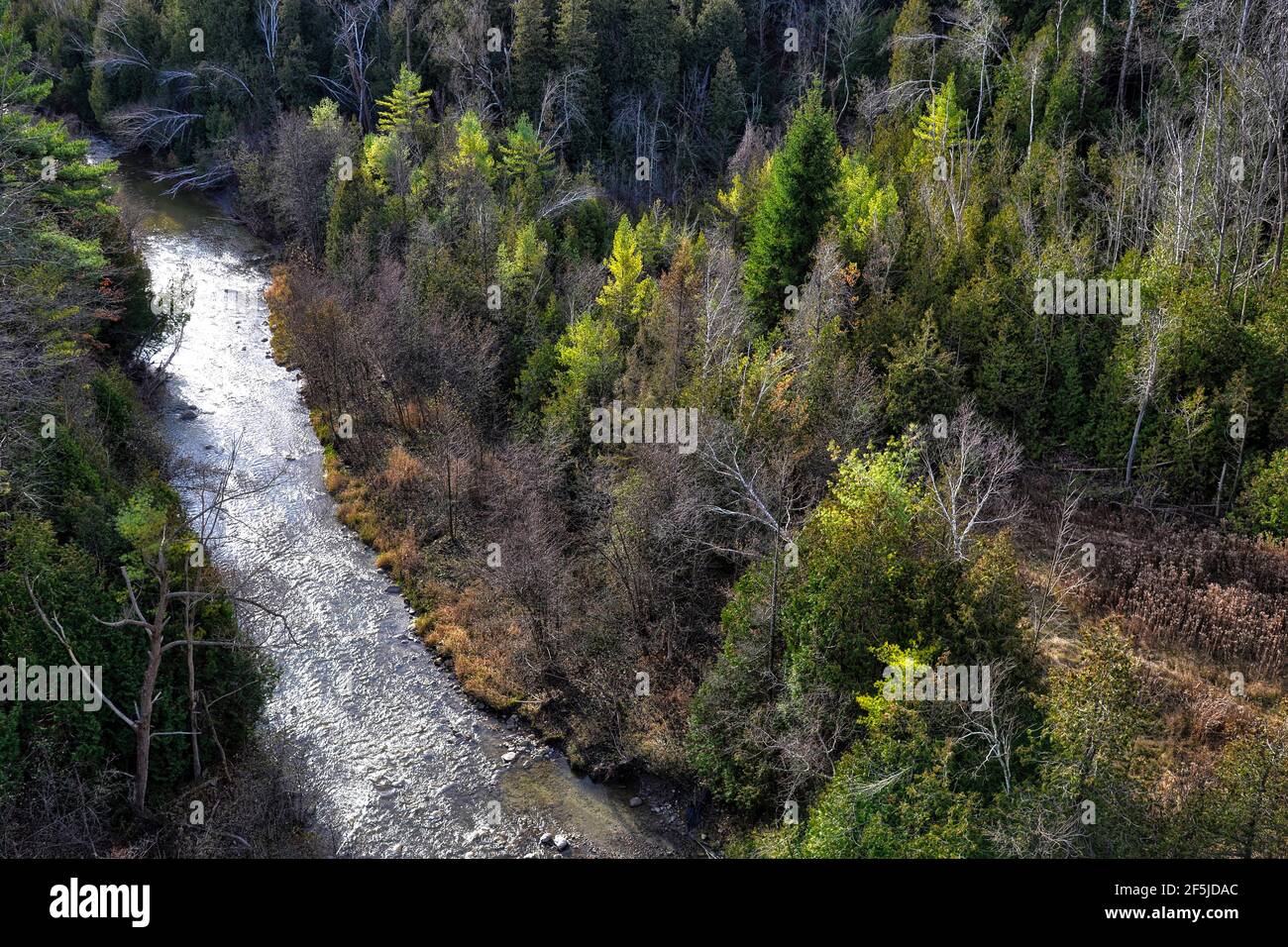 Aerial view of the landscape of the forest in early spring Stock Photo ...