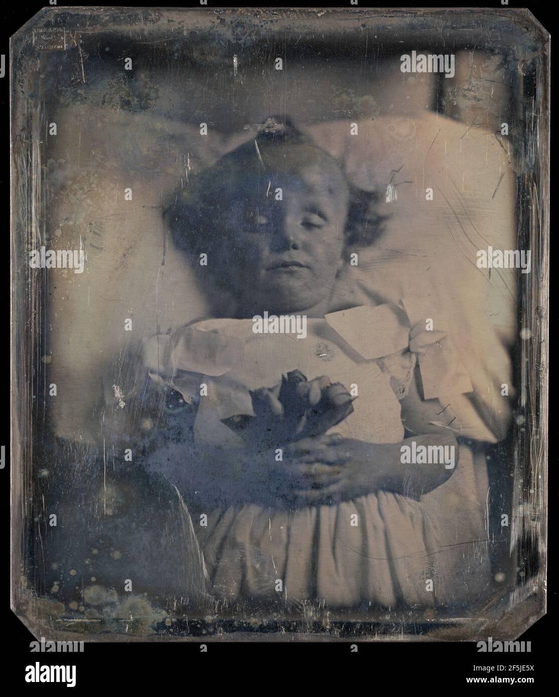Postmortem Portrait of a Little Girl Holding a Small Bouquet of Roses ...
