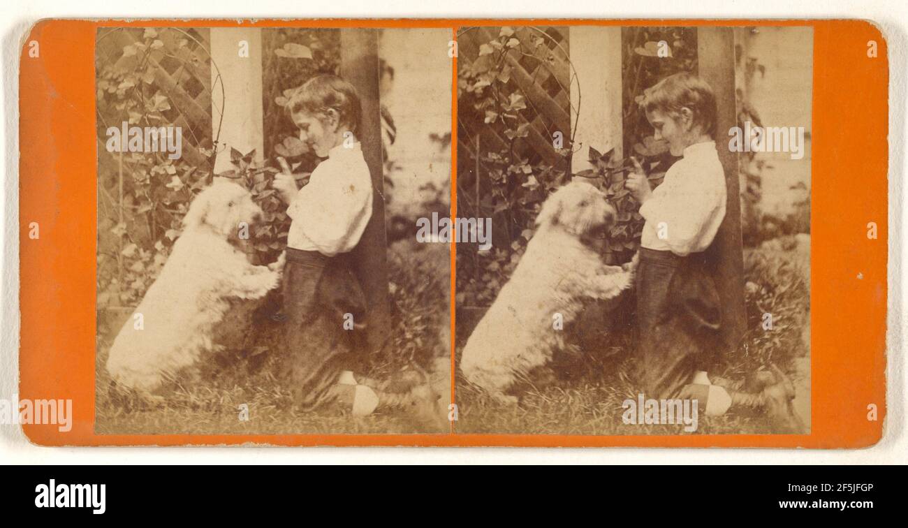 To old for the lesson.. Attributed to Peter F. Weil (American, active ...