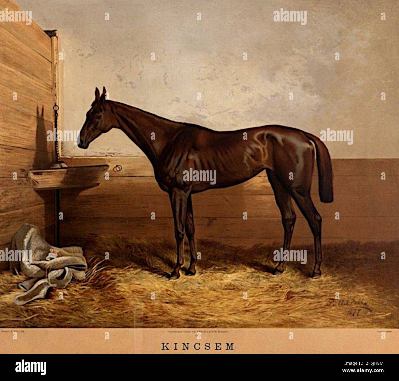 Kincsem hi-res stock photography and images - Alamy