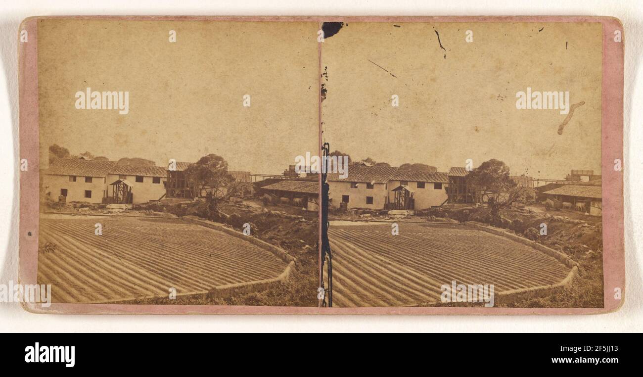 Tools coffee plantation hi-res stock photography and images - Alamy