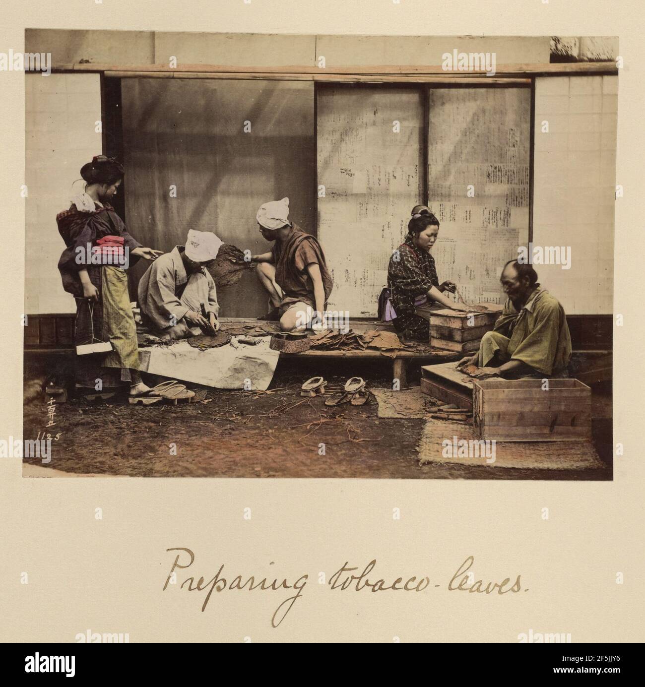 Preparing Tobacco Leaves. Shinichi Suzuki (Japanese, 1835 - 1919 Stock ...