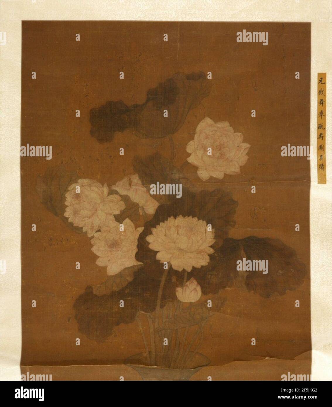 Qian Xuan - Flower Vase with Pink Lotus Stock Photo - Alamy