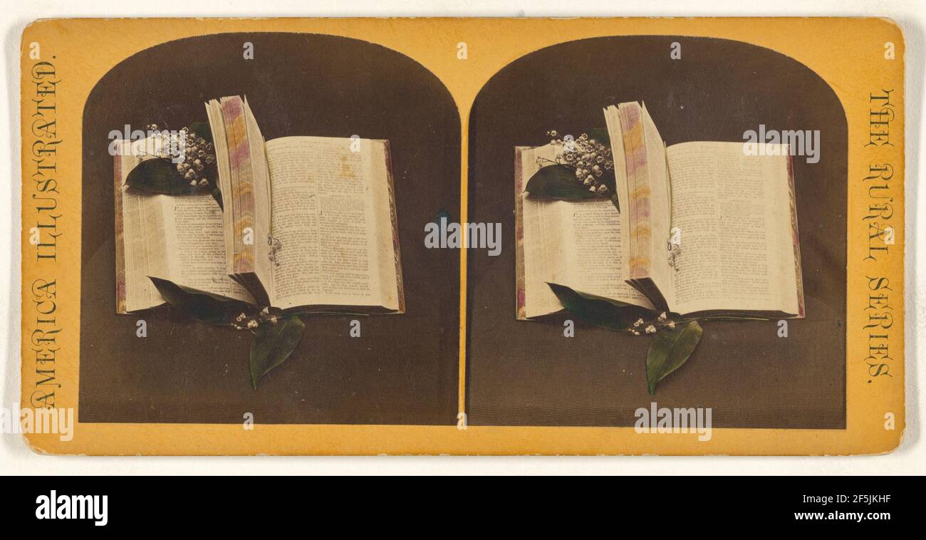 Book opened at two spots, one with book mark string, the other with ...