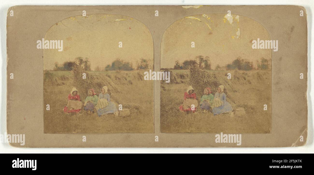 Reapers field hi-res stock photography and images - Alamy