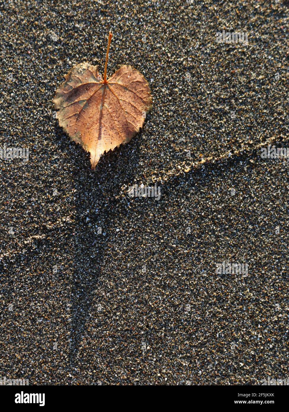 Curved line hi-res stock photography and images - Alamy