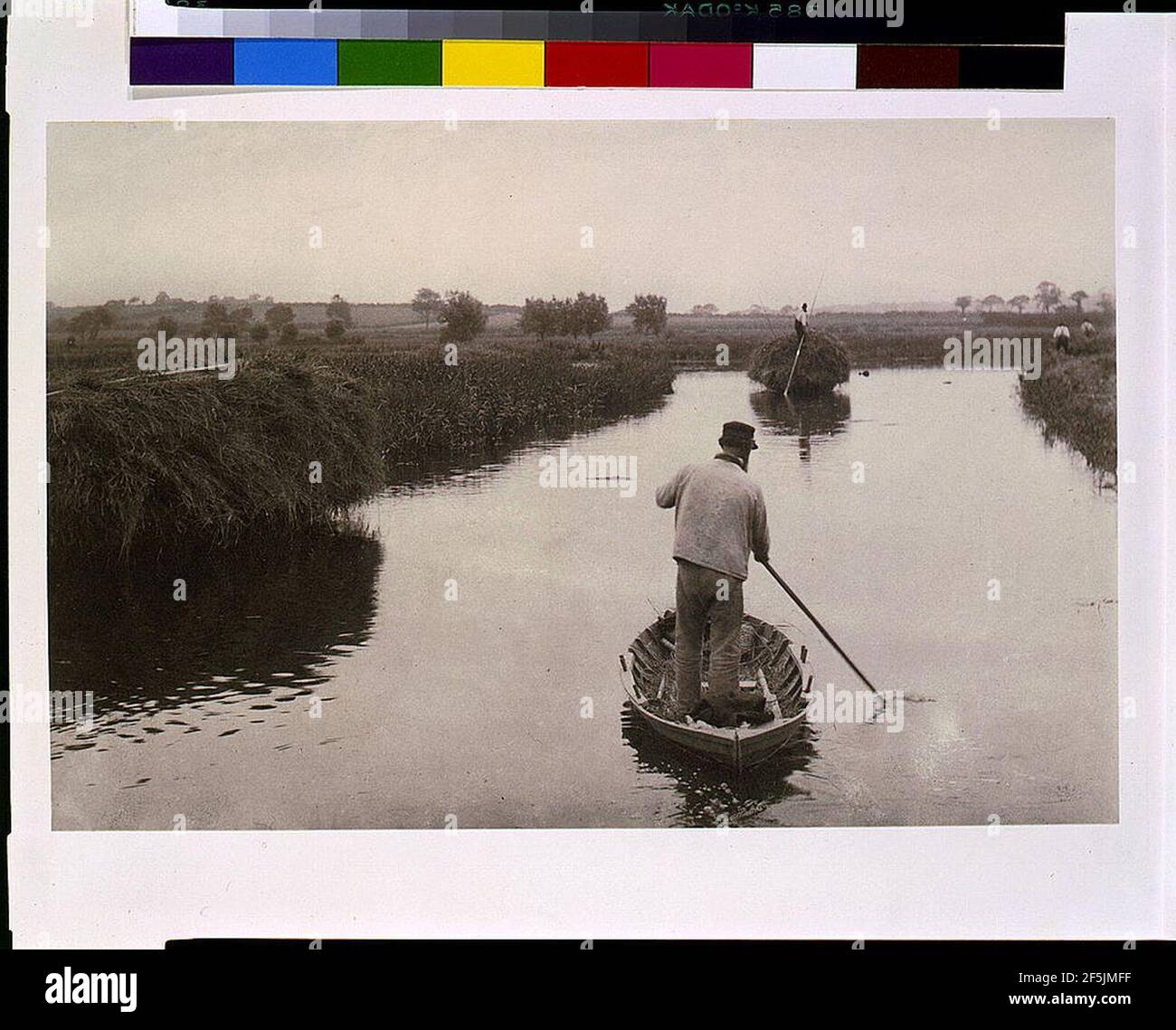 Quanting the marsh hay, Norfolk Broads, England Stock Photo - Alamy