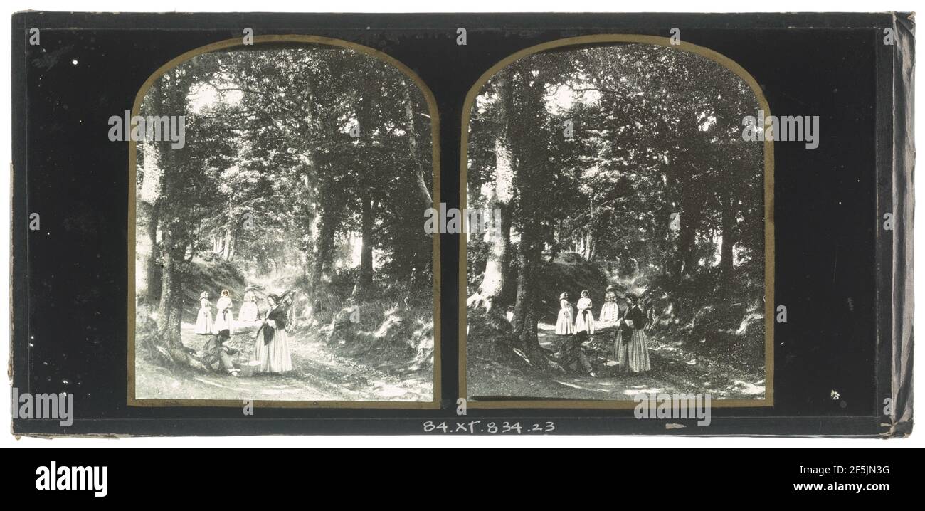 Group of British women within a grove of trees, a cobbler seated at the ...