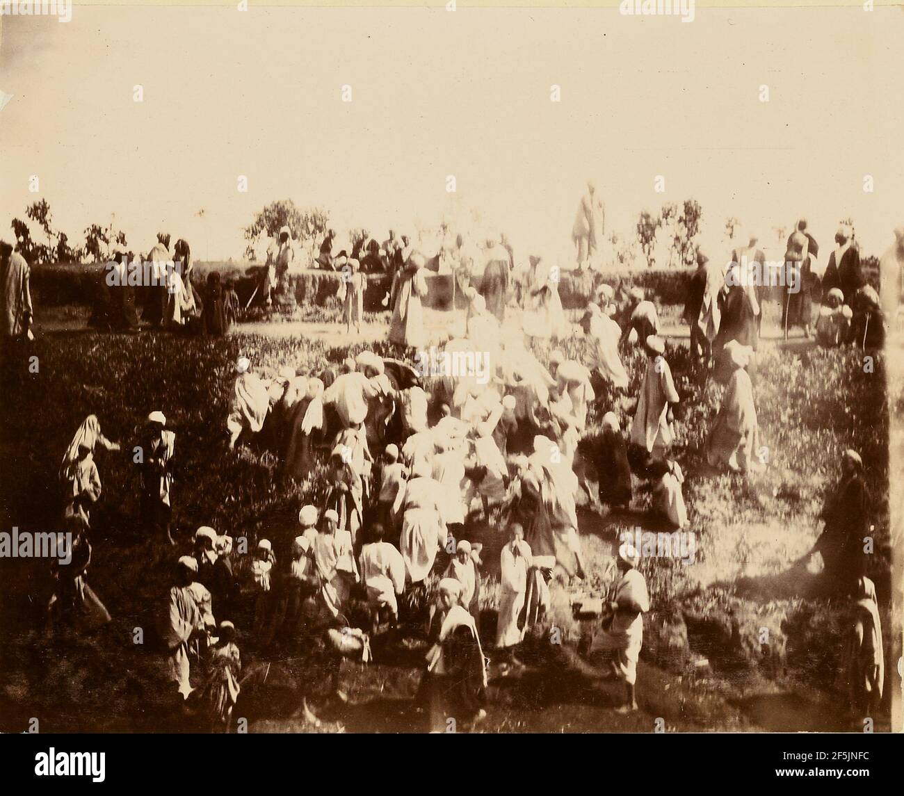 Crowd of people on hillside. Unknown Stock Photo - Alamy