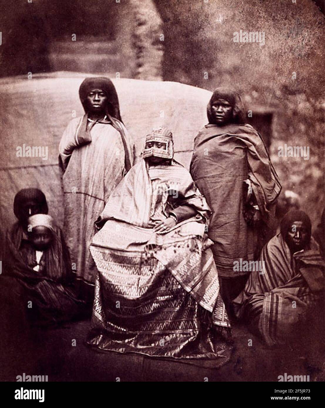 Queen of Mohéli Stock Photo - Alamy