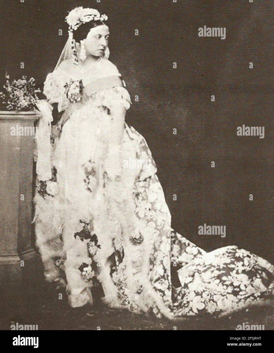 Queen Victoria in court dress 1854 Stock Photo - Alamy