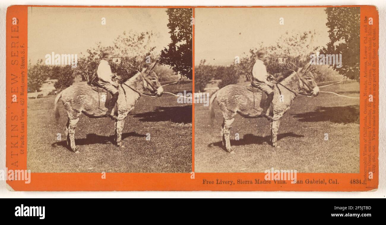 Free Livery, Sierra Madre Villa. San Gabriel, Cal.. Carleton Watkins ...