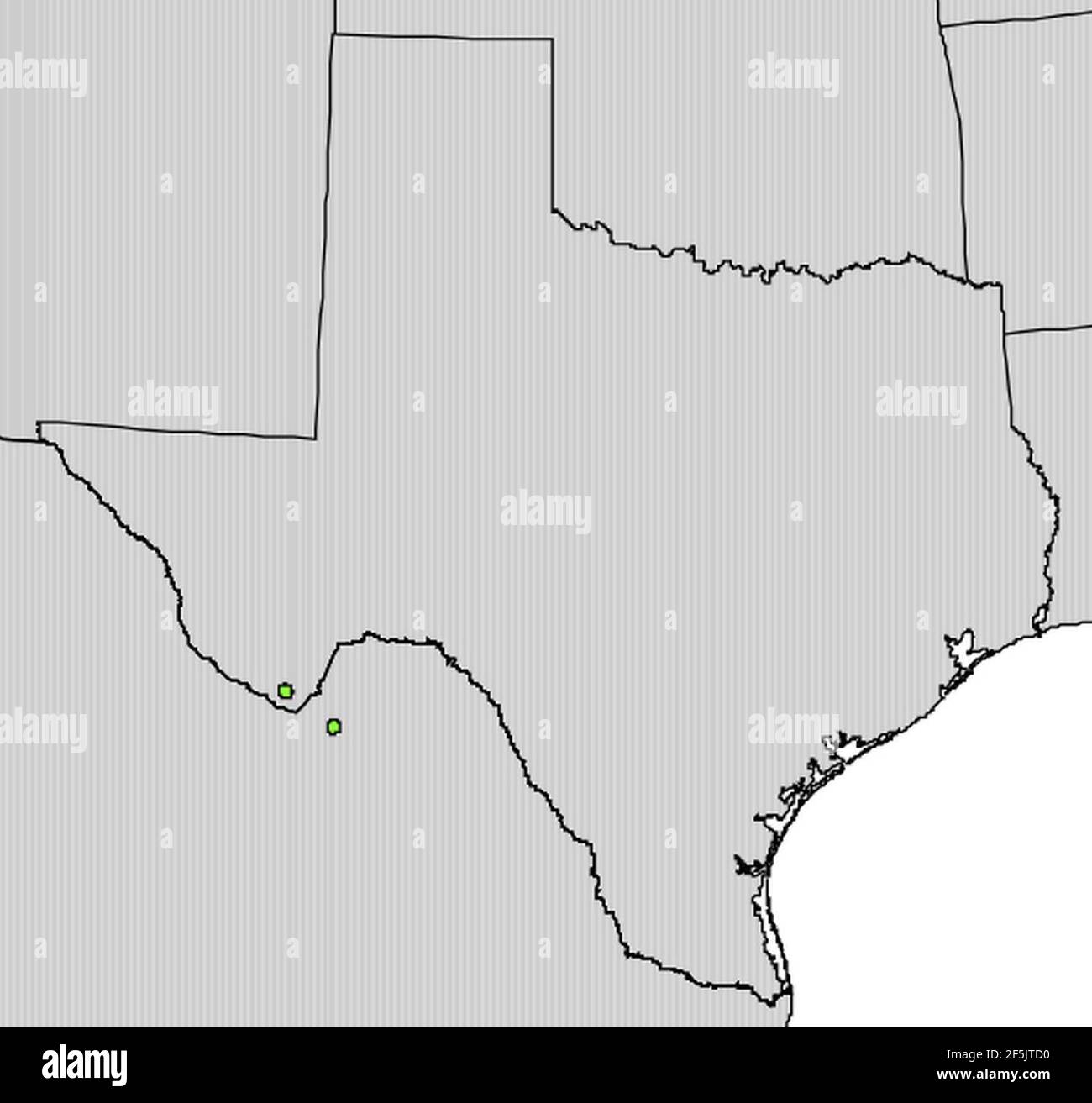 Quercus graciliformis range map Stock Photo - Alamy