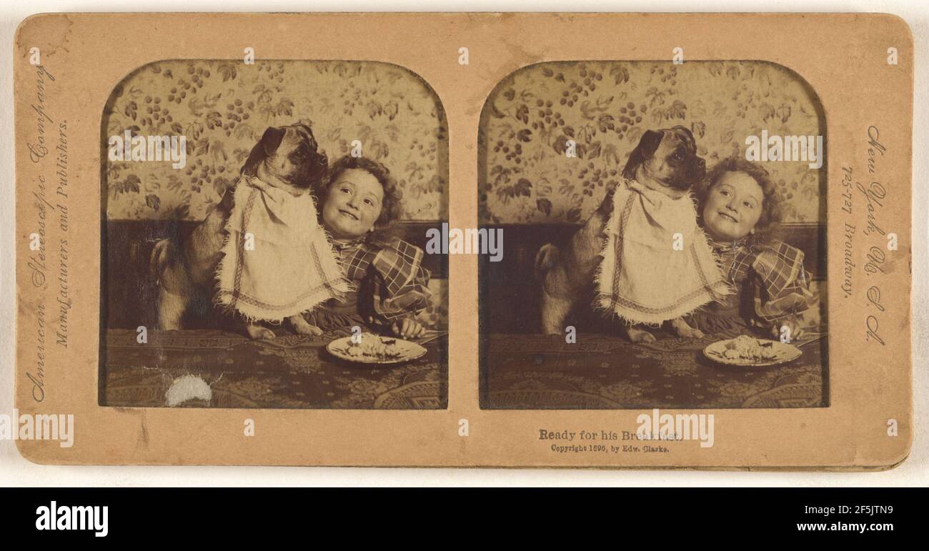 Ready for his Breakfast.. Edward Clarke (American, active 1900s - 1910s ...