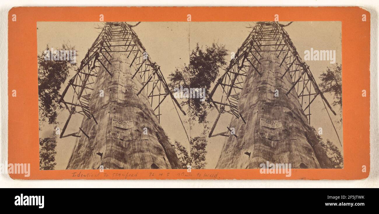 305 feet high hi-res stock photography and images - Alamy