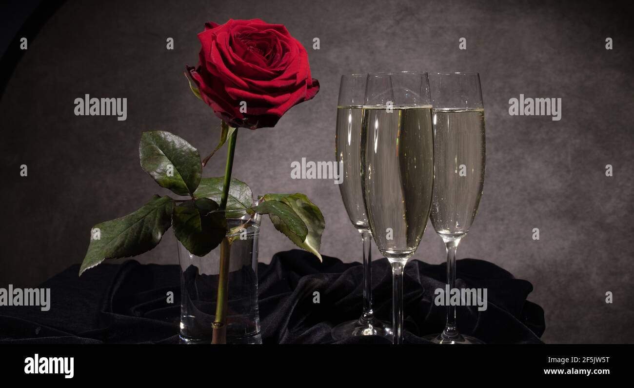 Champagne and red roses in close-up view Stock Photo - Alamy