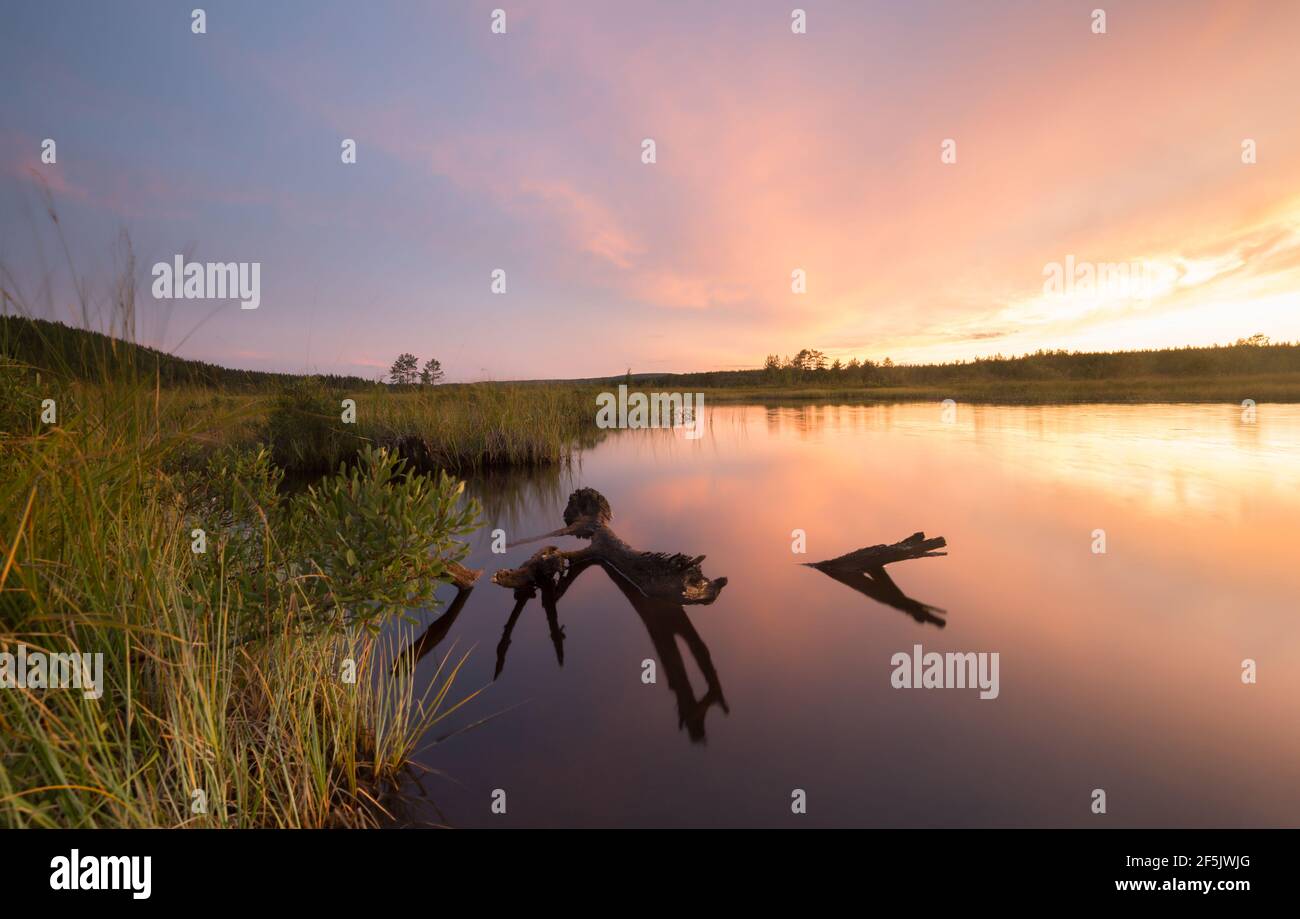Beautiful sunset over a swamp Stock Photo - Alamy