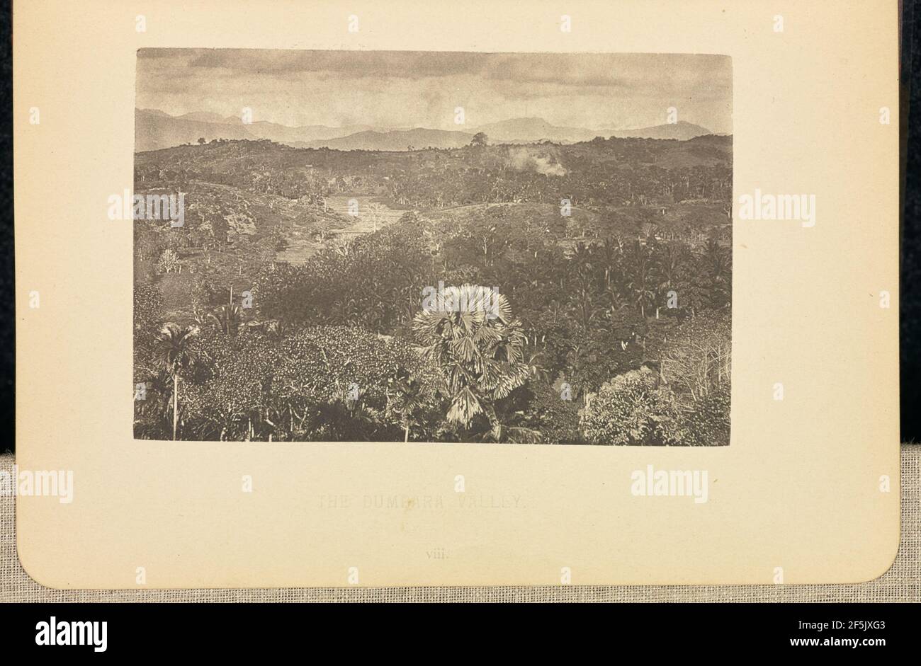 The Dumbara Valley. Henry W. Cave (English, 1854 - 1913 Stock Photo - Alamy