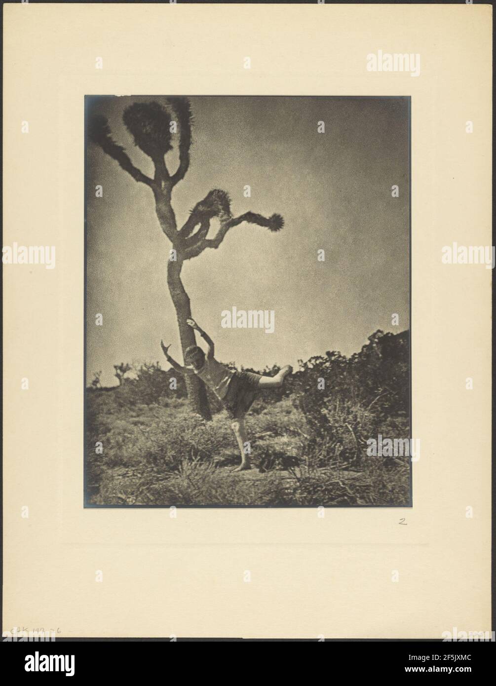 Lithe and Graceful - Dancing Joshua. Louis Fleckenstein (American, 1866 ...
