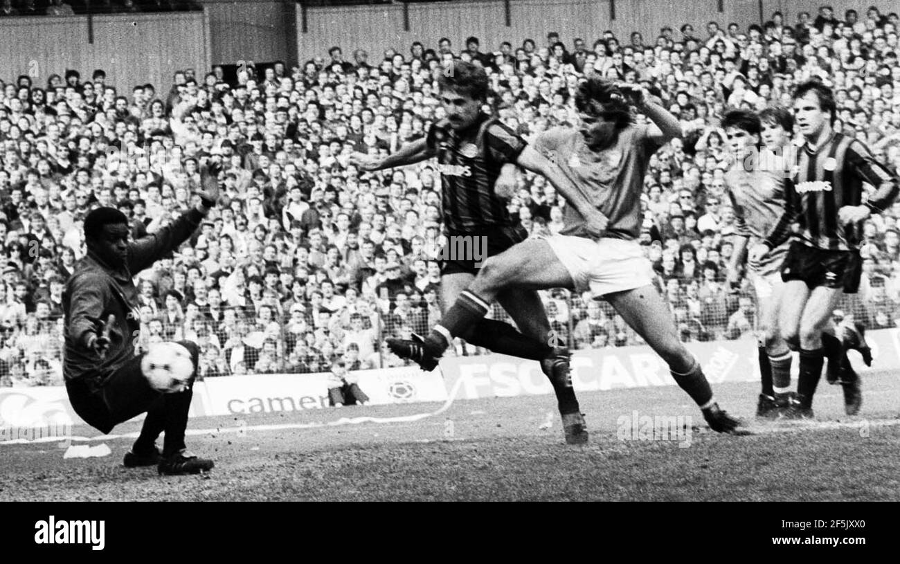 Nicky walker hi-res stock photography and images - Alamy