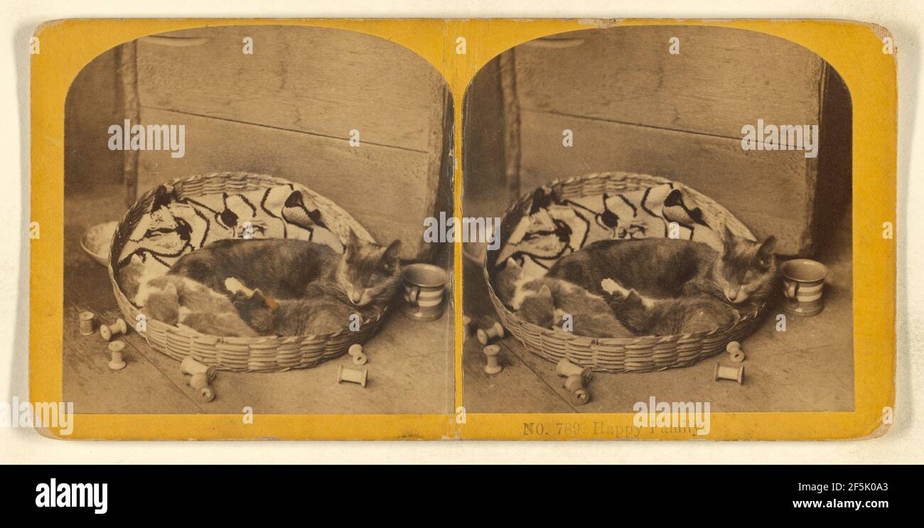 Happy Family.. Benjamin West Kilburn (American, 1827 - 1909 Stock Photo ...