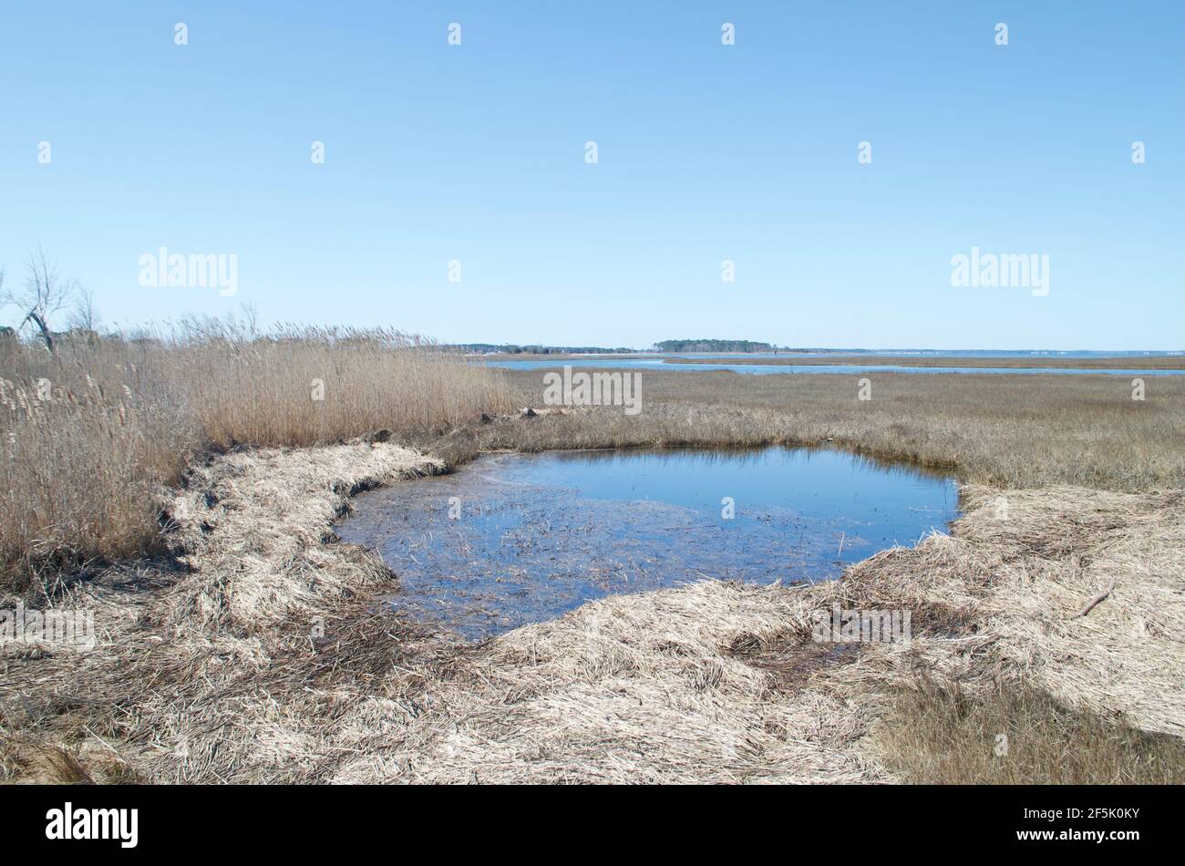 Marsh walk hi-res stock photography and images - Alamy