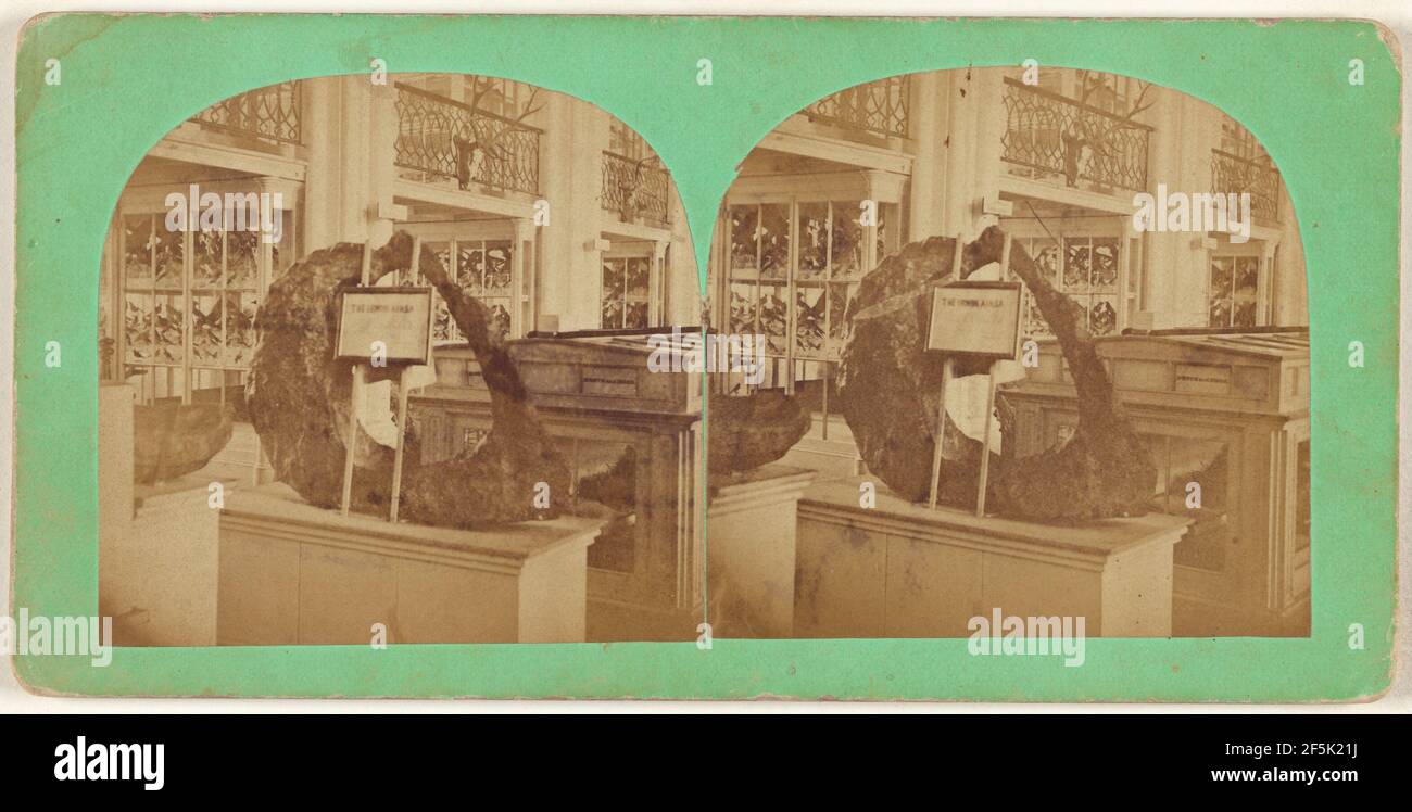 View of the Interior of the Smithsonian Institution.. Bell & Brother ...