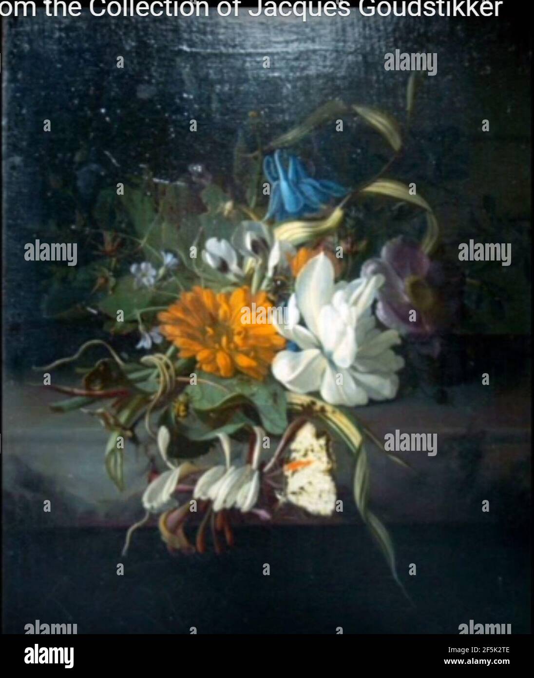 Rachel Ruysch - Flowers on a Stone Ledge Stock Photo - Alamy