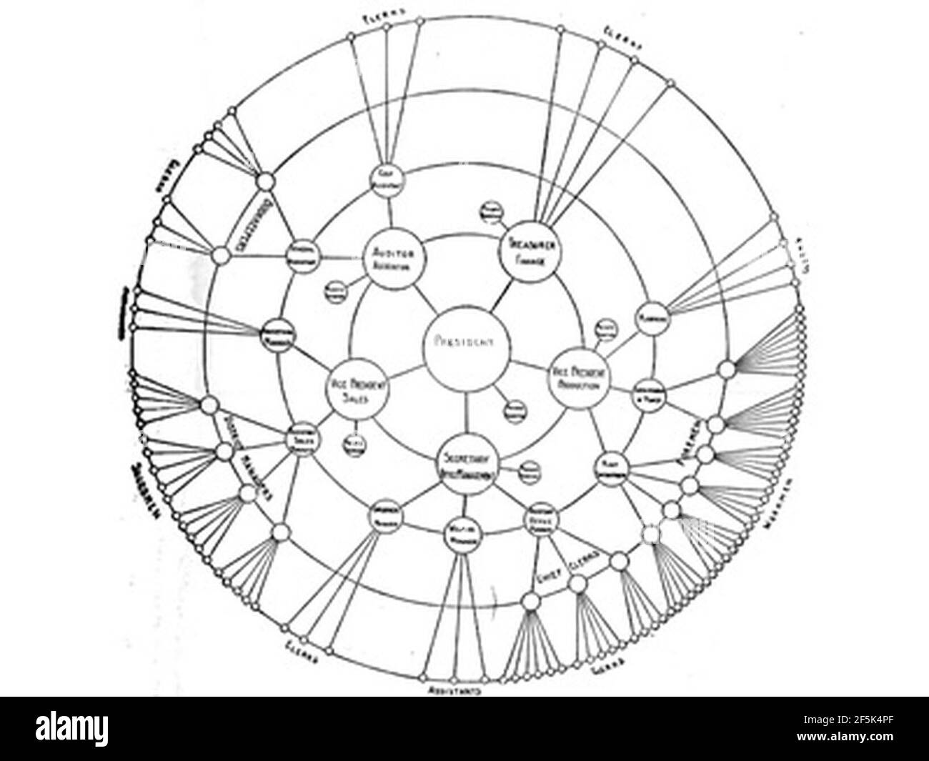 Radial tree - Graphic Statistics in Management Stock Photo - Alamy