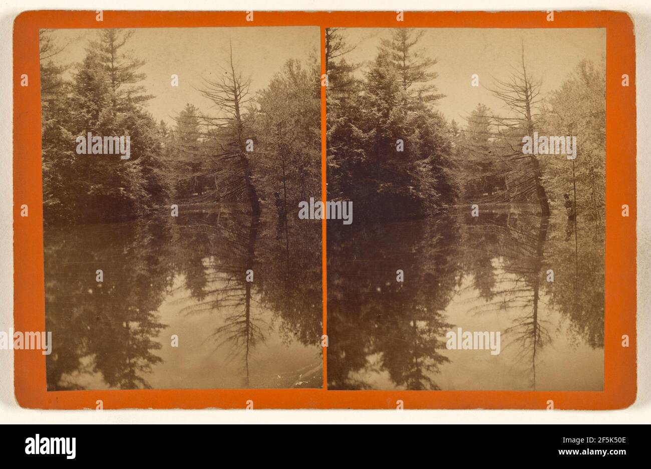 Reflection on the Sawkill above the Dam in the Glen, Pike County, Pa ...