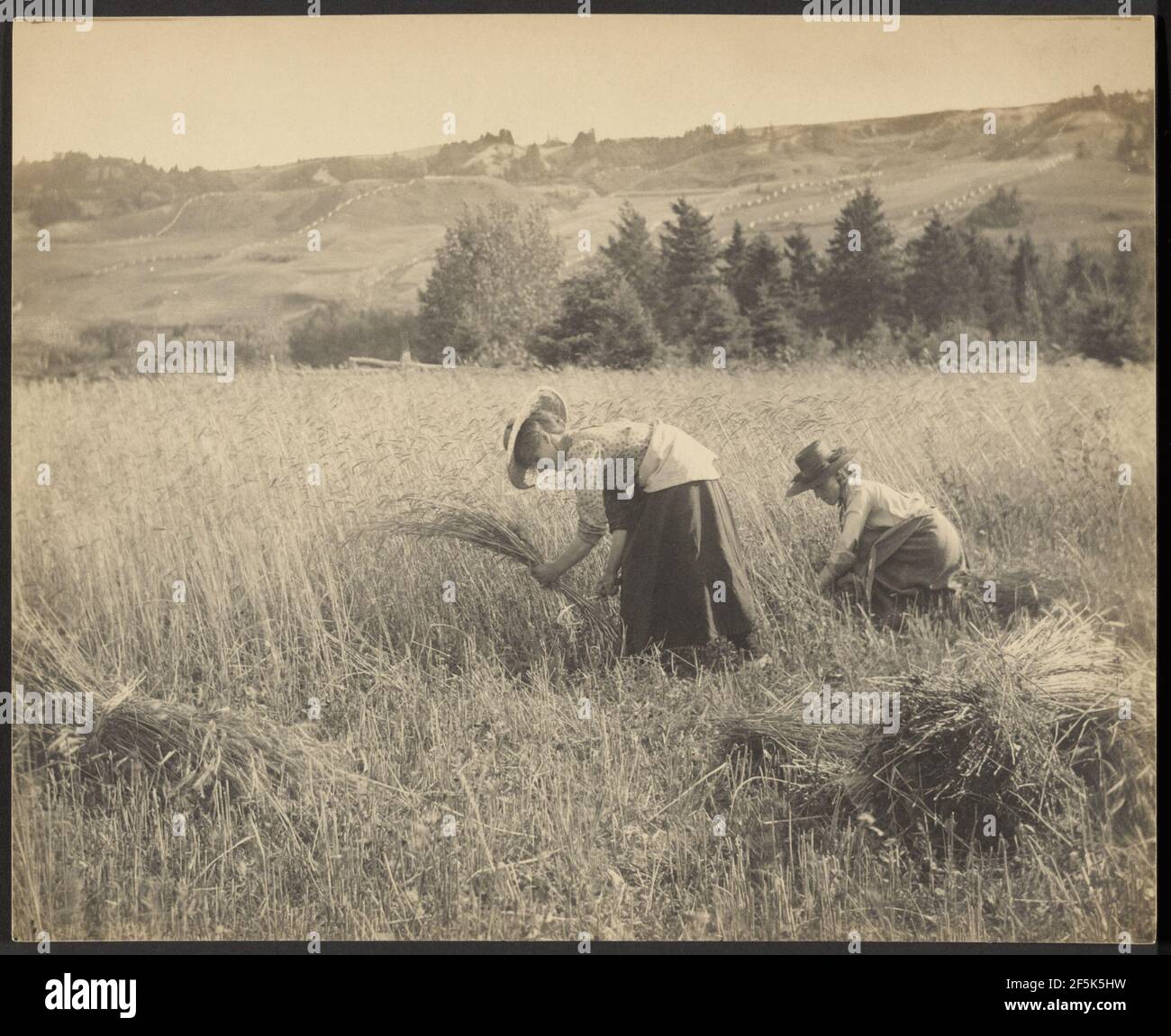 Eickemeyer hi-res stock photography and images - Alamy