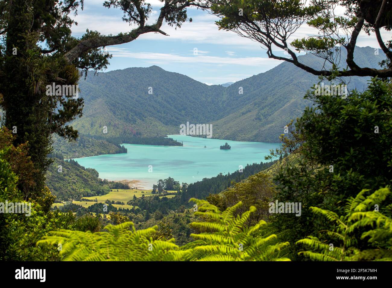 Nydia track hi-res stock photography and images - Alamy