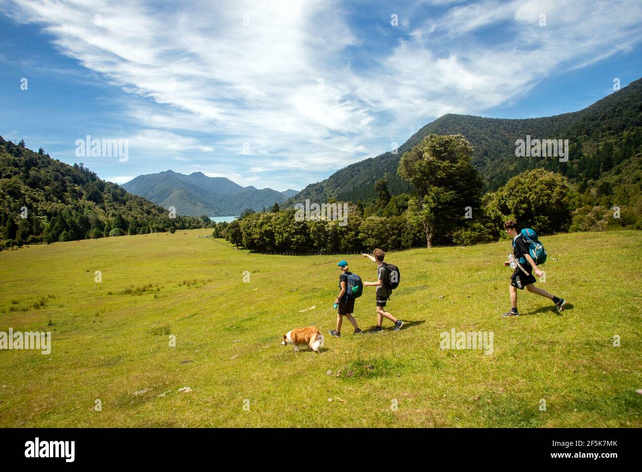Nydia Track with a dog, Kaiuma Bay to Duncan Bay, Marlborough, New ...