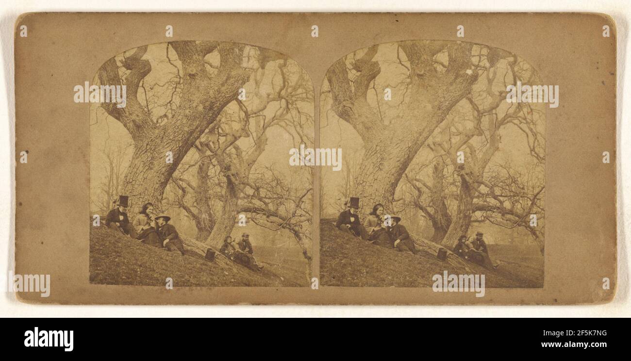 Two separate groups hi-res stock photography and images - Alamy