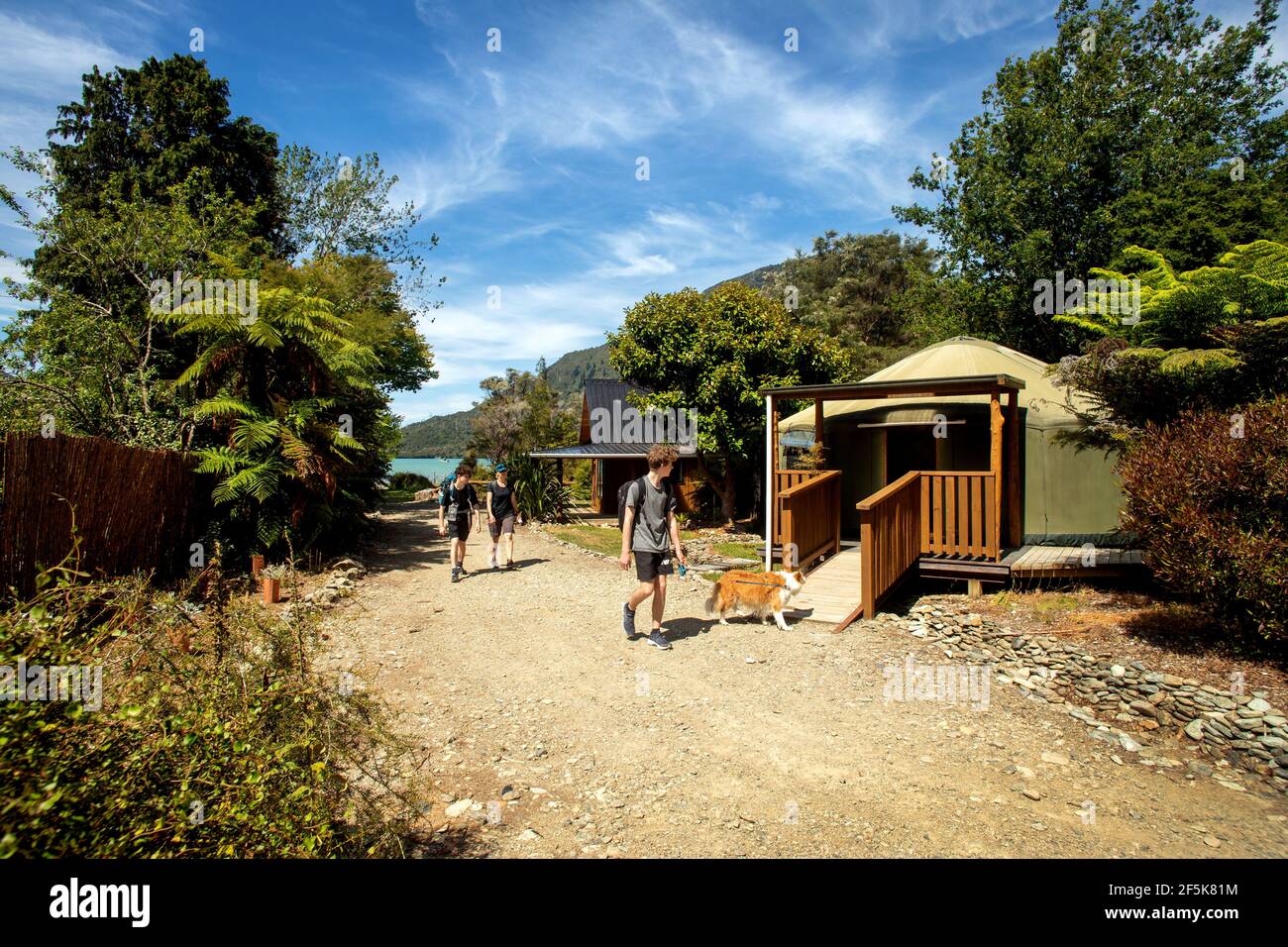 Nydia Track with a dog, Kaiuma Bay to Duncan Bay, Marlborough, New ...