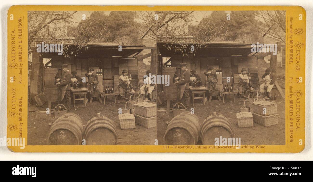 Disgorging hi-res stock photography and images - Alamy