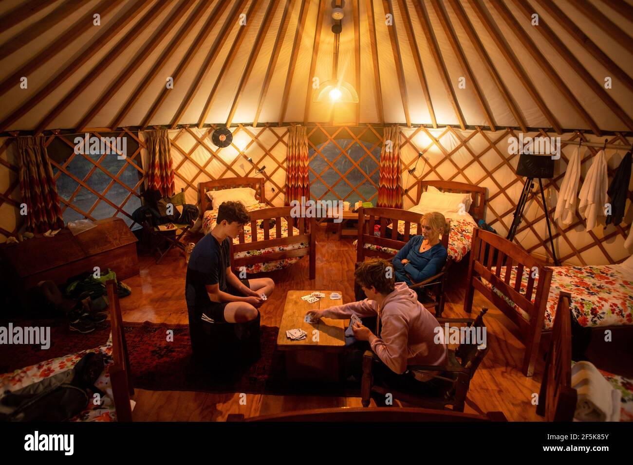 Nydia Track with a dog, Kaiuma Bay to Duncan Bay, Marlborough, New ...