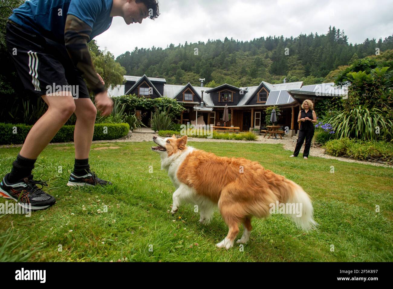 Nydia Track with a dog, Kaiuma Bay to Duncan Bay, Marlborough, New ...