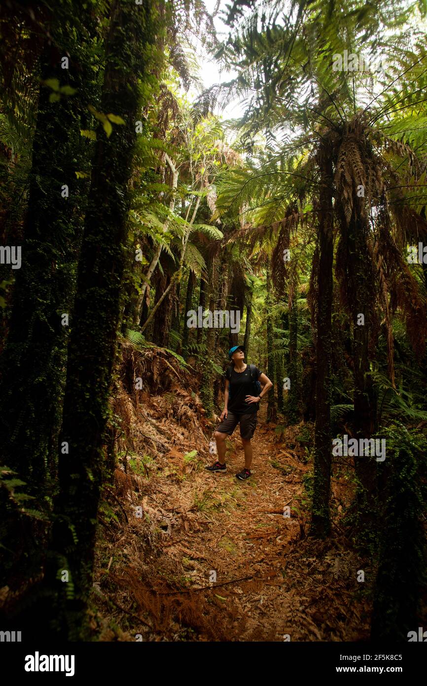 Nydia Track with a dog, Kaiuma Bay to Duncan Bay, Marlborough, New ...