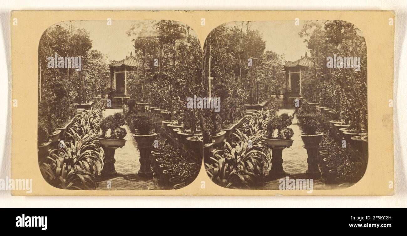 Canton. General View of How Qua's Garden, with Plants Cut to Resemble ...