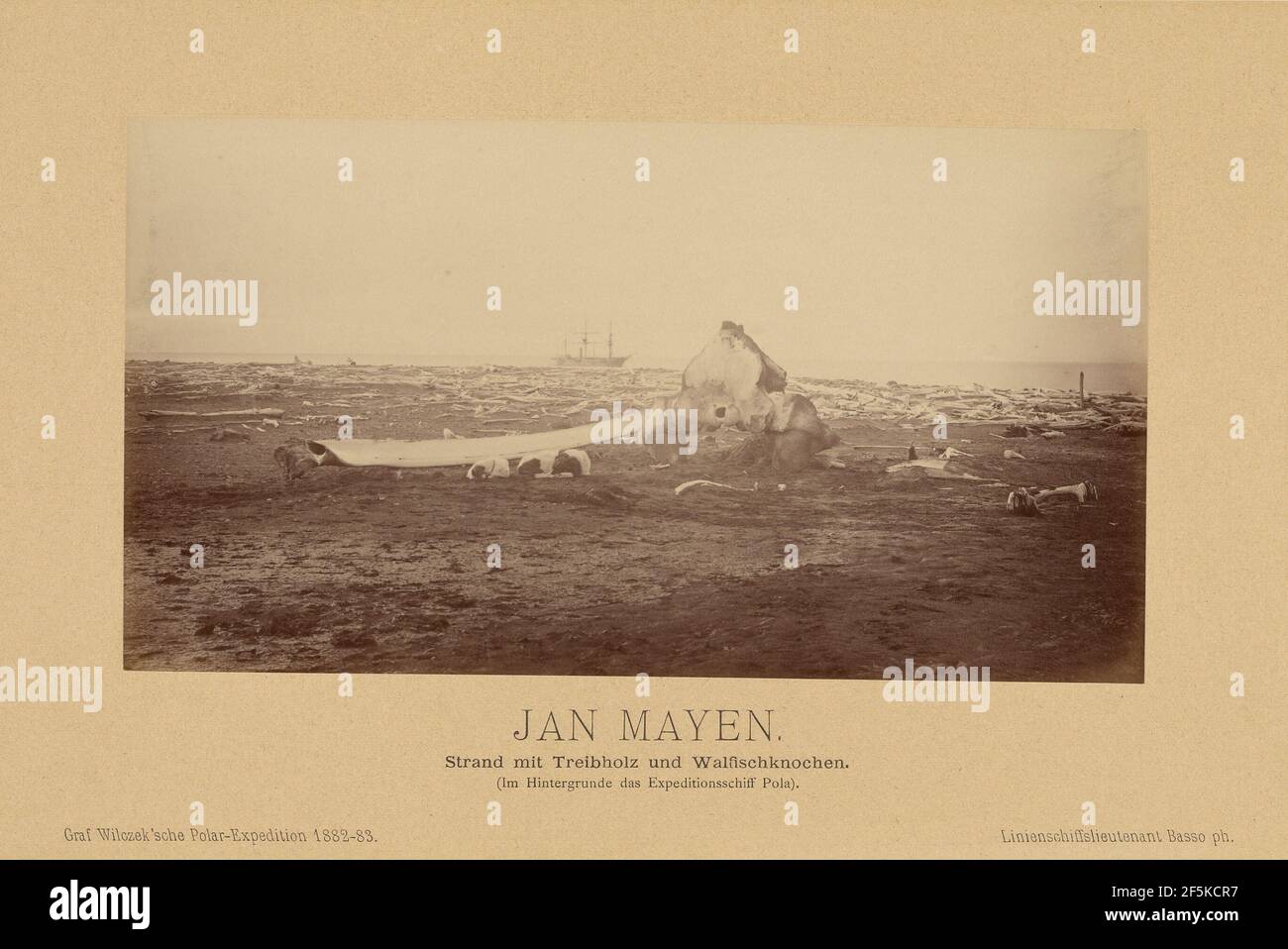 Jan Mayen, Strand mit Treibholz und Walfischknochen. (Im Hintergrunde ...