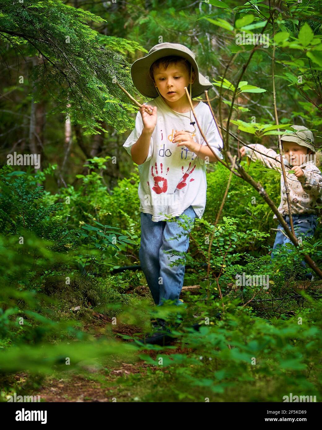 Boy touching tree in forest hi-res stock photography and images - Alamy