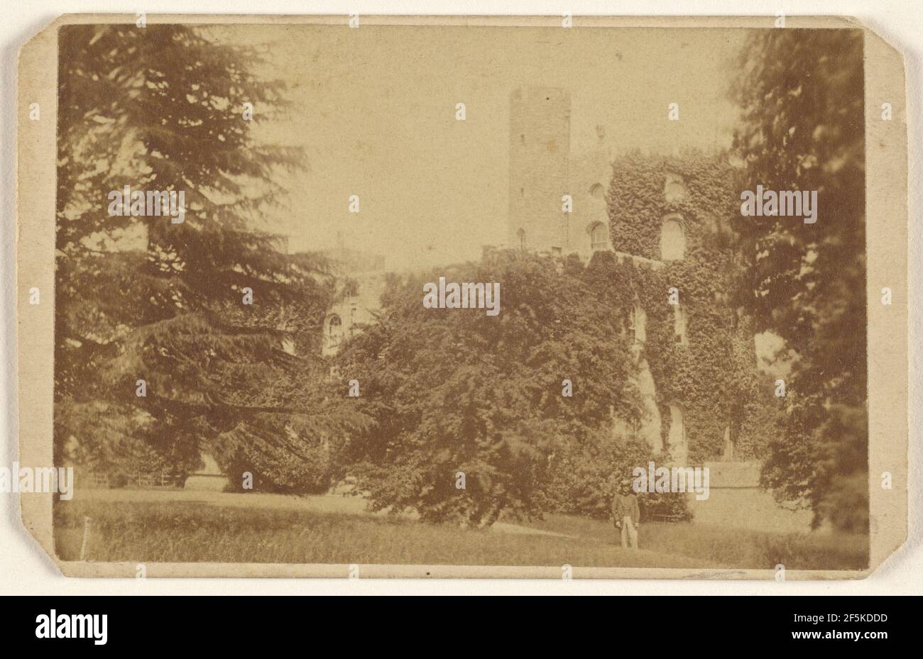 Norris castle hi-res stock photography and images - Alamy