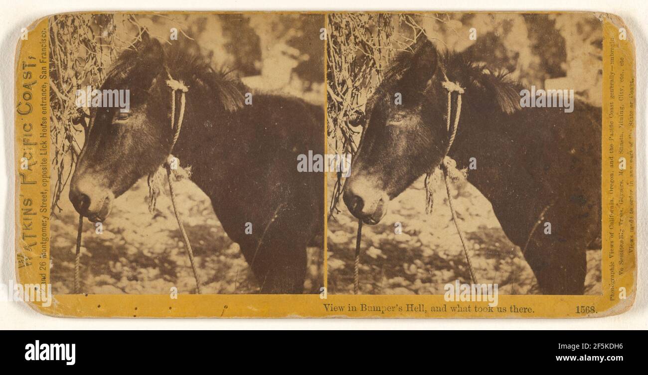 View of Bumper's Hell, and what took us there.. Carleton Watkins ...