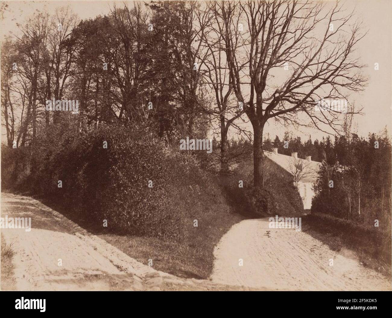 Rajca, Vieraščaka. Райца, Верашчака (T. Boretti, 1894) (4 Stock Photo ...