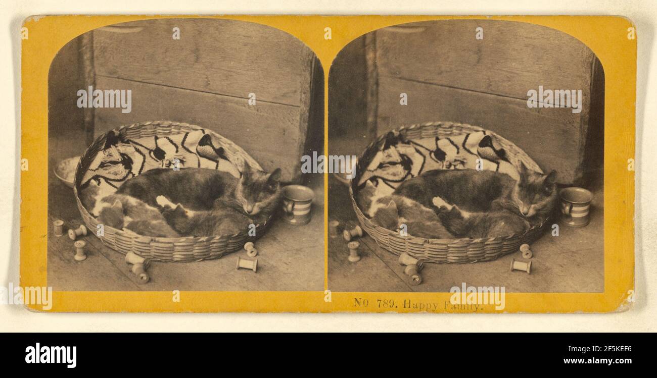 Happy Family.. Benjamin West Kilburn (American, 1827 - 1909 Stock Photo ...