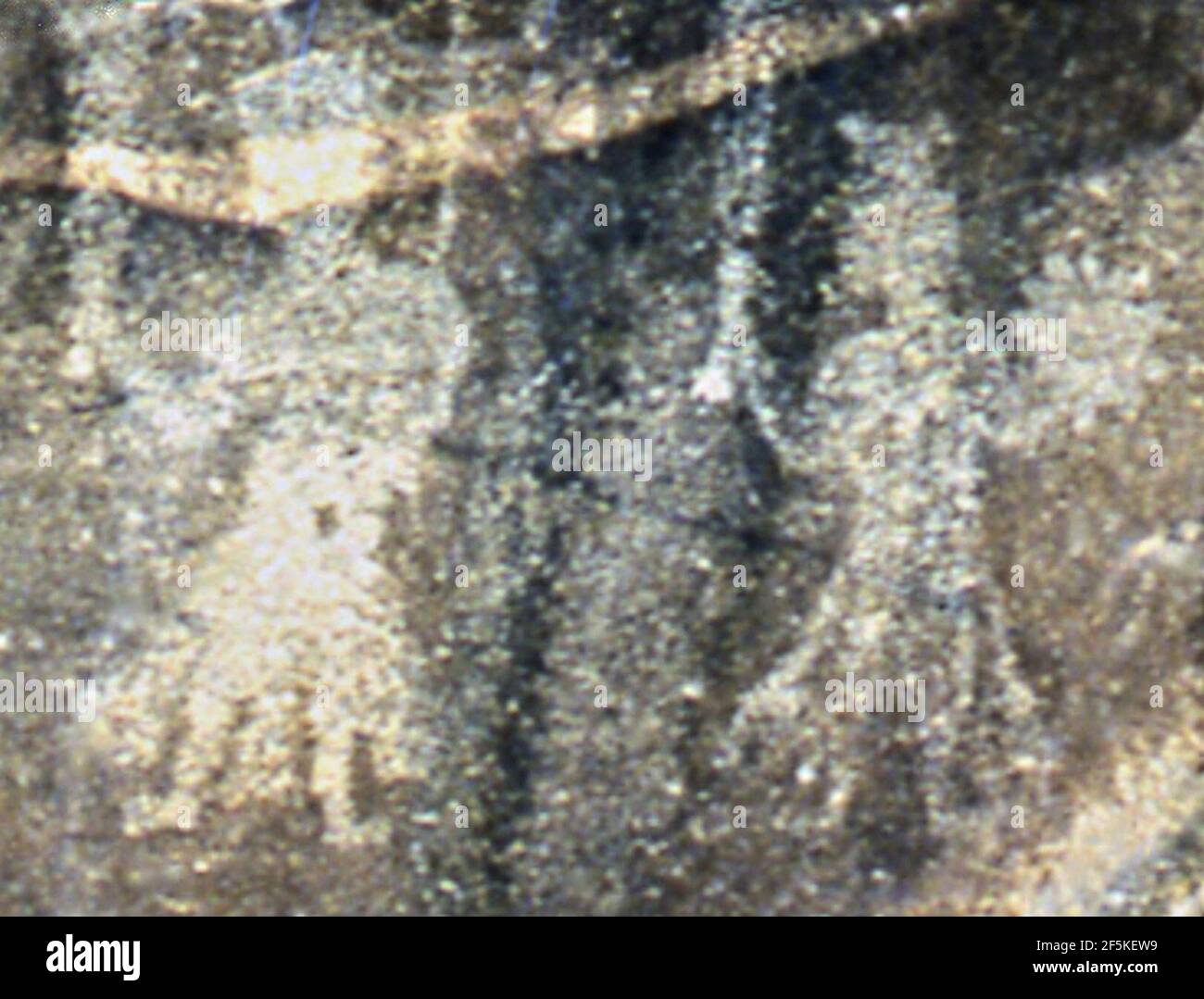 Chilas hi-res stock photography and images - Alamy